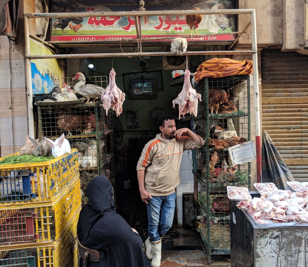 Our introduction to Egypt crazy places and crazy nice people - The ...